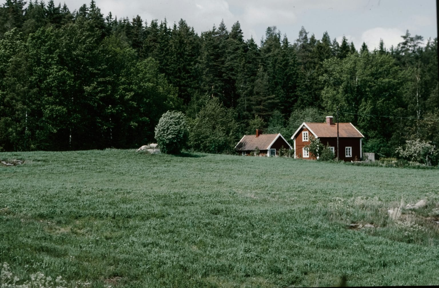 Contests + Awards – The Iowa Review